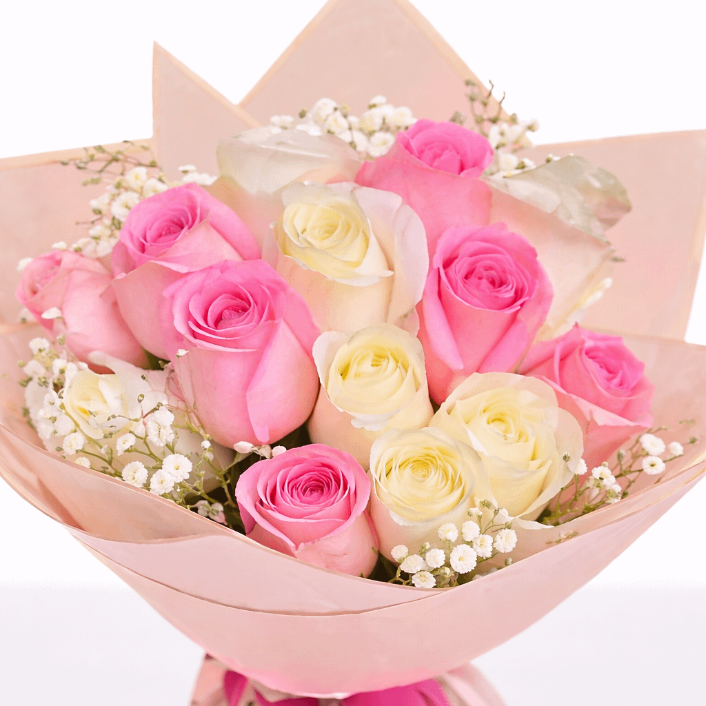 Pink Valentine’s Day in Baja California, Mexico | Baja California ...